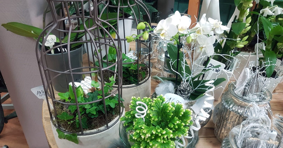 Home [www.suse-life.de]